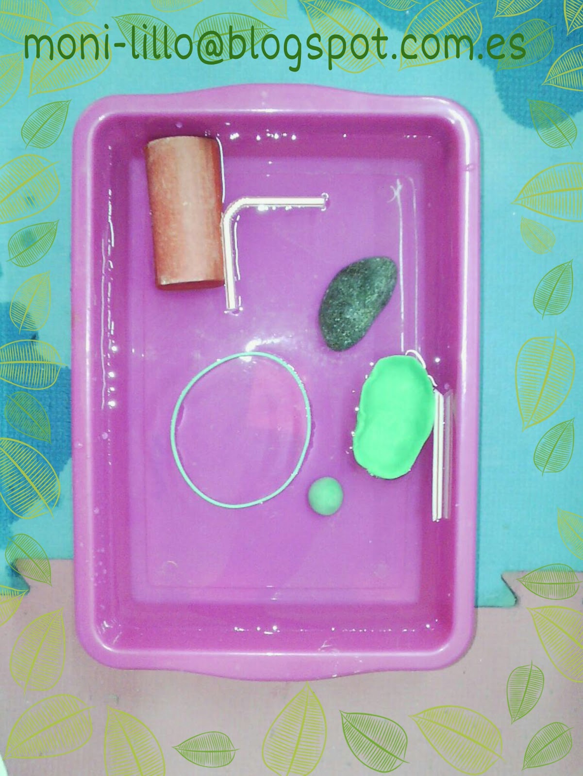 CIENCIAS: FLOTABILIDAD