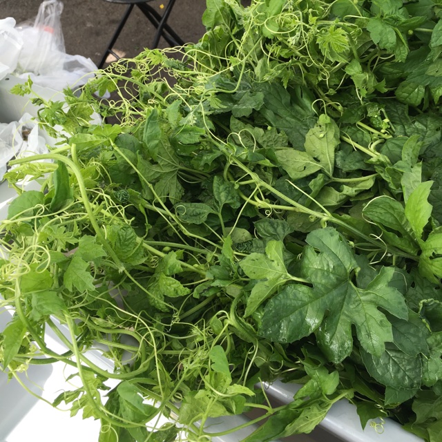 A WORD FROM THE WIVES: Saved by the Bush