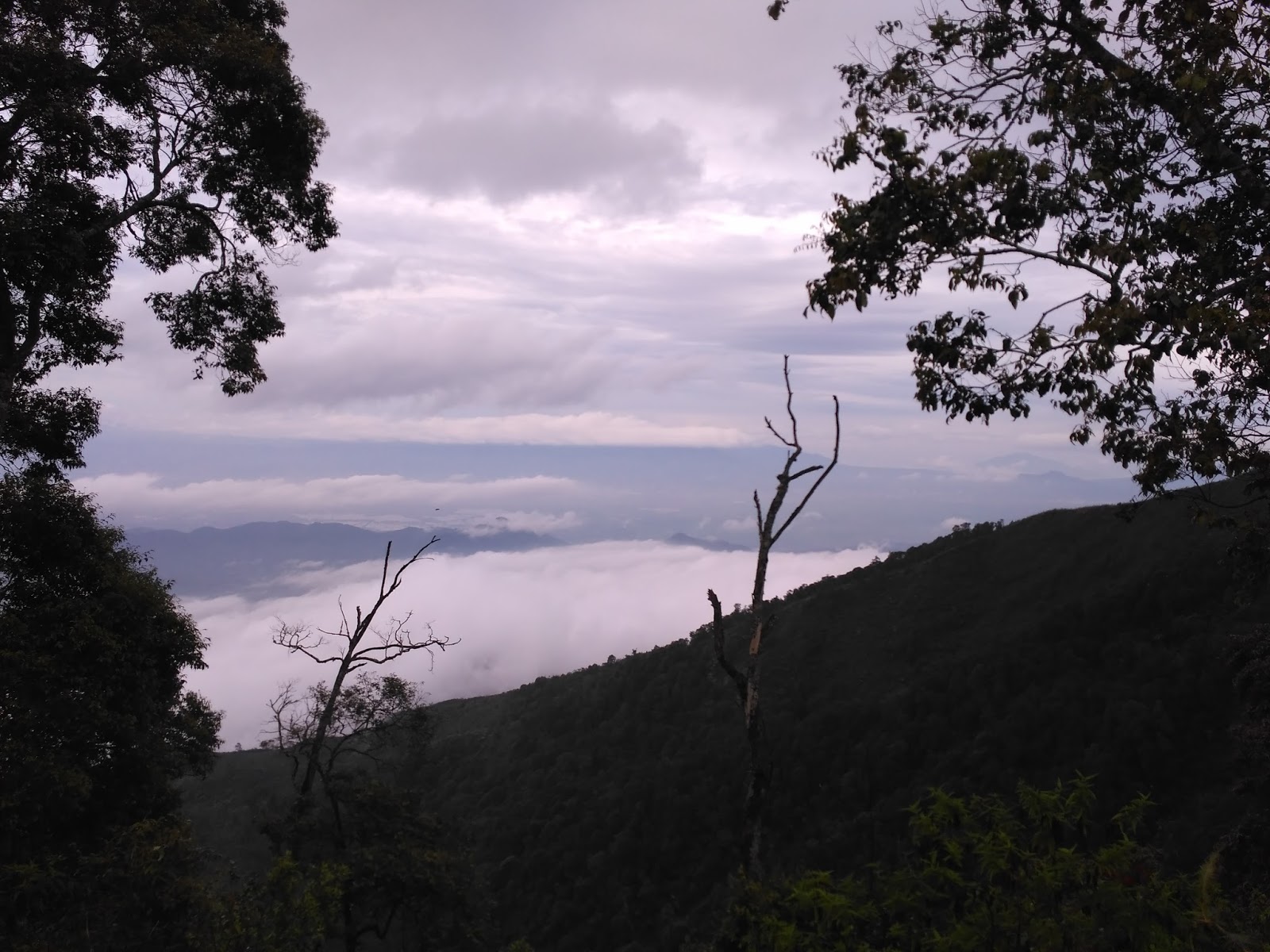 Puncak Mega Gunung Puntang 2222 Mdpl di Bandung Selatan