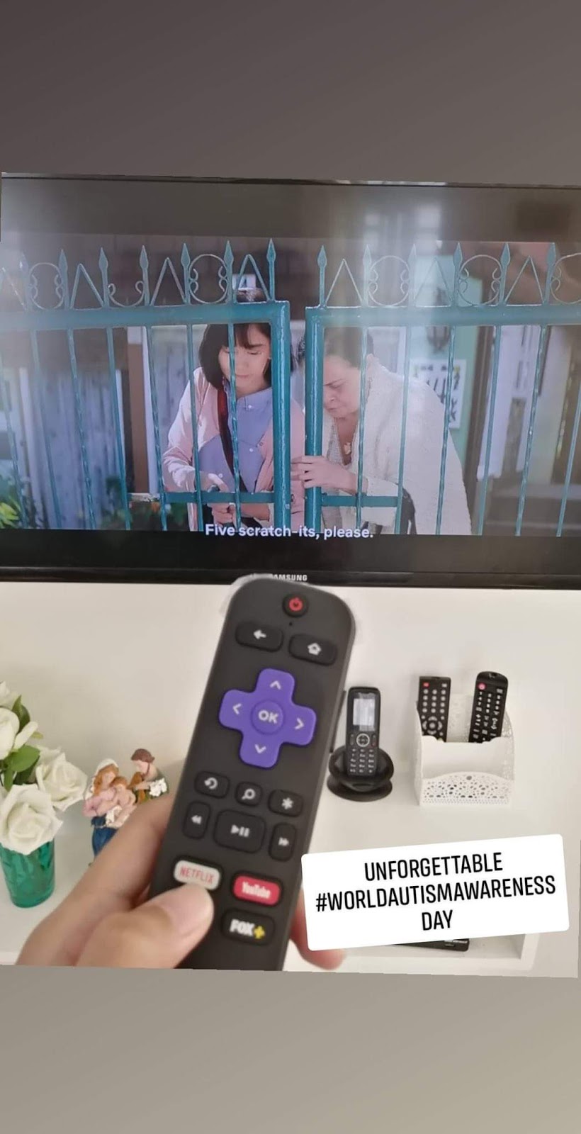 Globe Streamwatch Roku