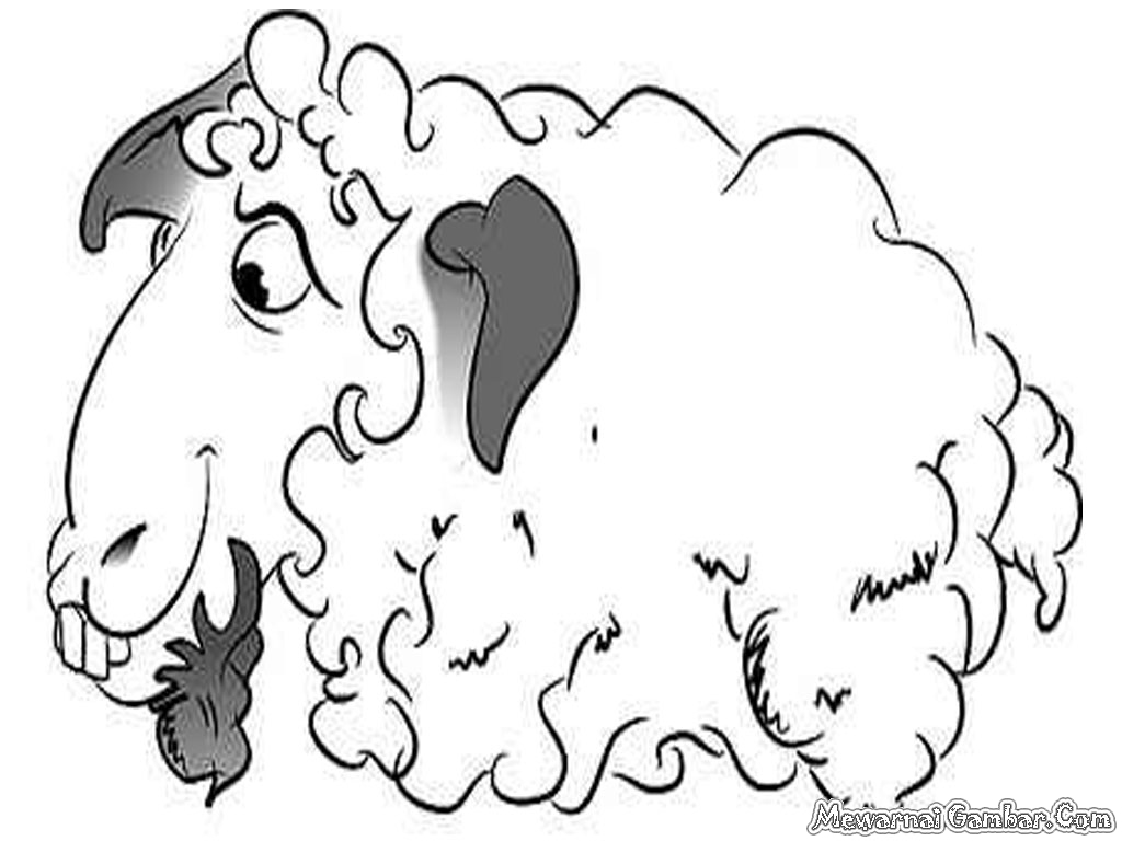 Mewarnai Gambar Domba | Mewarnai Gambar