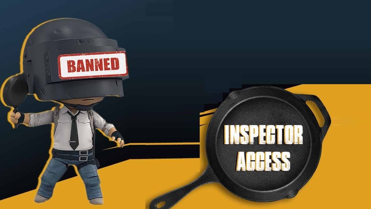 PUBG Mobile BAN PAN : How do Investigator Squad review cheats in the video?