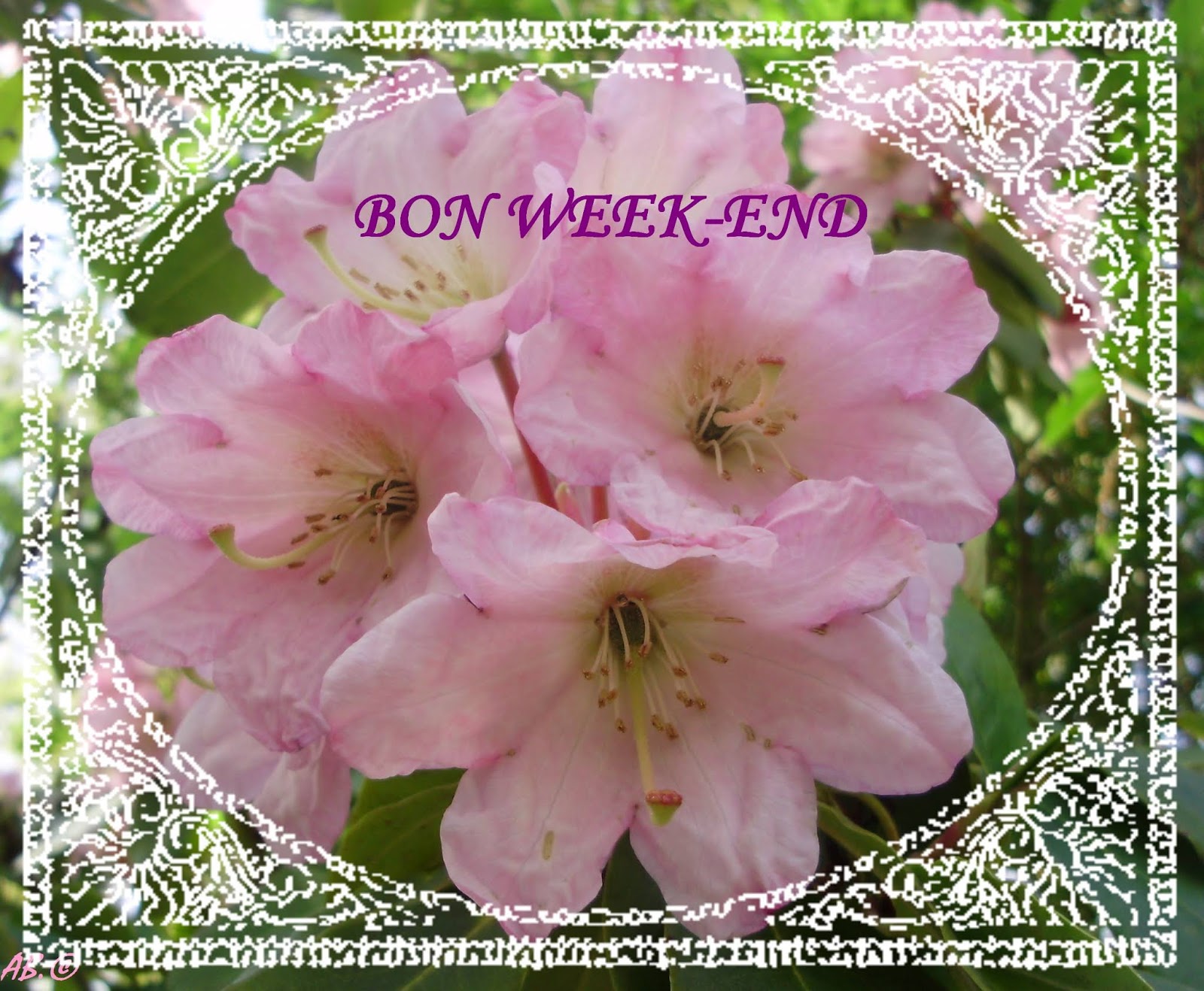 j'ai vu, j'ai photographié, je partage: Passez un bon week-end