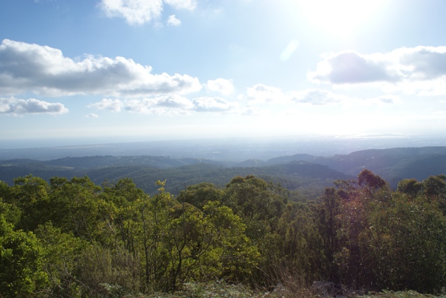Gallivantour: Mt Lofty Summit