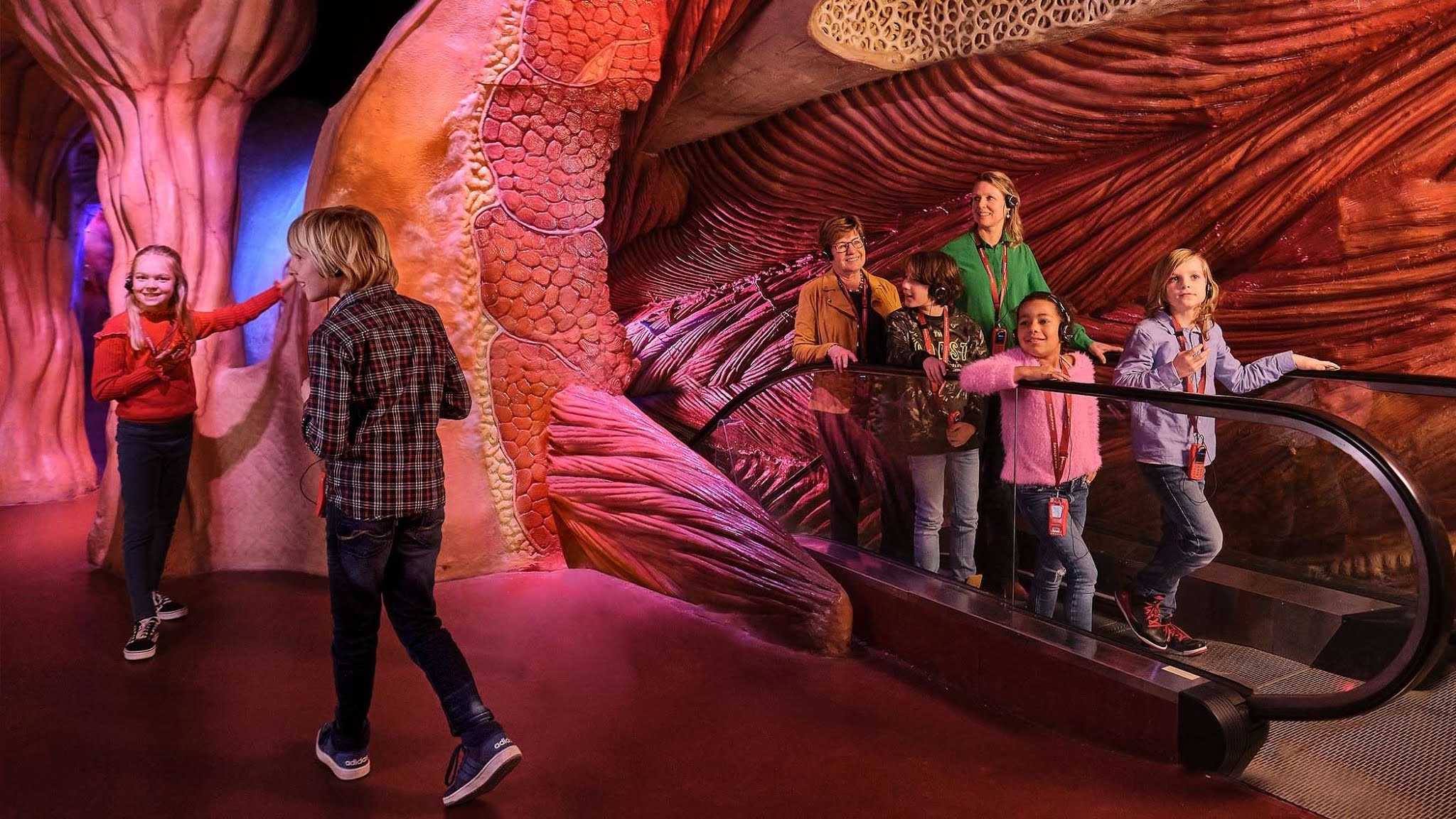 Corpus Conoce El Museo Del Cuerpo Humano Que Posee Órganos Gigantes Del ...