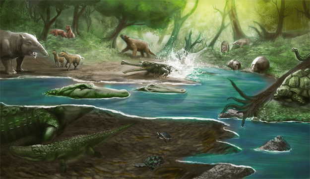 Paleontología en Colombia: La fauna de Ungulados autóctonos del Neógeno ...