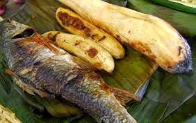 REVISTA GASTRONÓMICA DEL AMAZONAS COLOMBIANO : Lo mejor del amazonas...