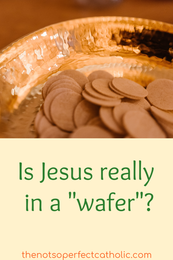 Is Jesus Really Present in a Wafer? | The Not-So-Perfect Catholic