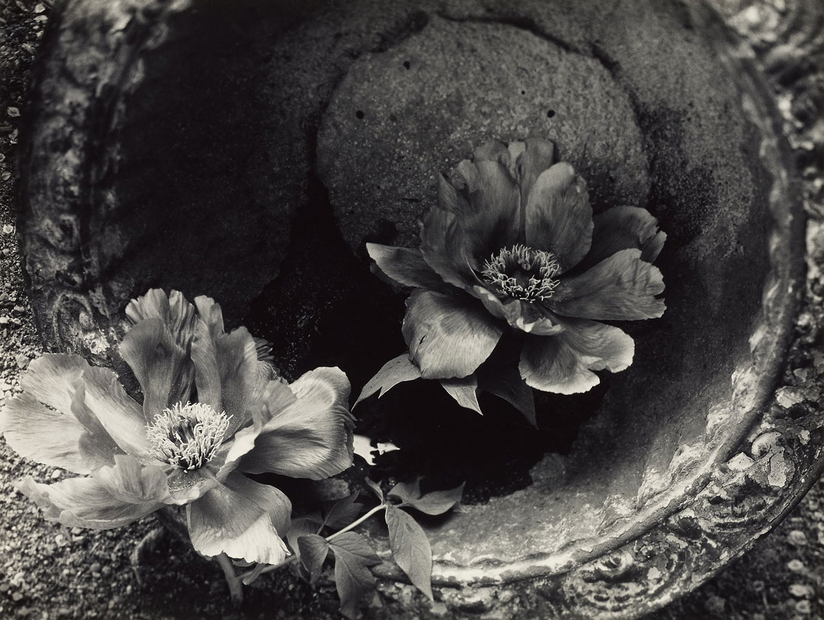 Los Grandes Fotografos: Minor White (1908-1976)