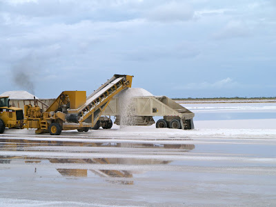 Boys in Blue Water: Morton's Salt Works - Great Inagua