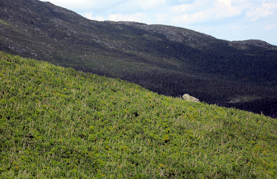 Hiking in the White Mountains: Huntington Ravine Trail