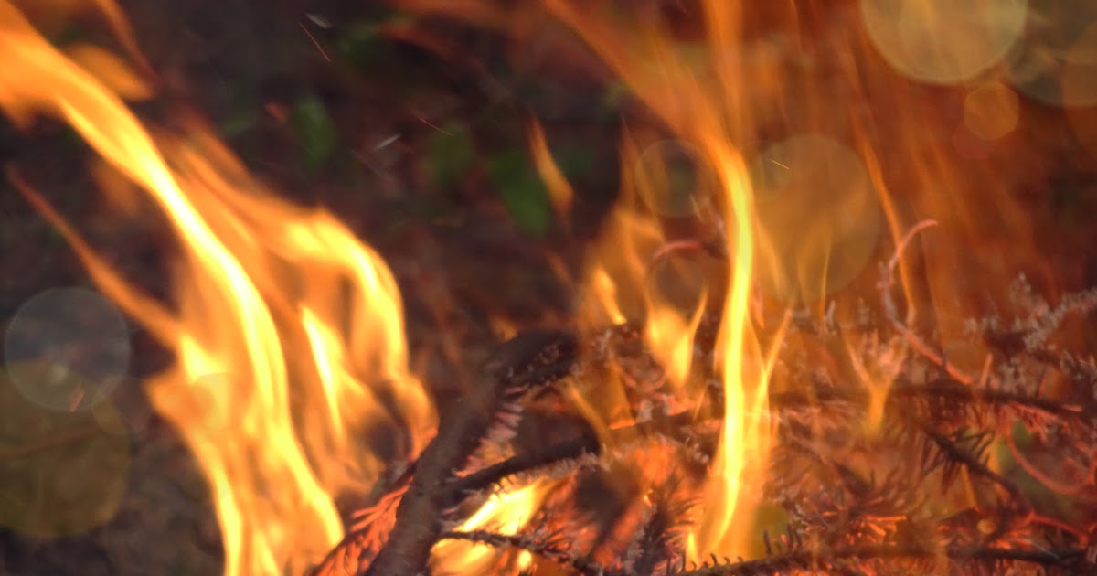 Burning Bows Bokeh Fire & Flames Photos 5 photos + Video - ArtByJudieAnn