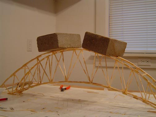 Bridges: Bridges Made Out of Toothpicks