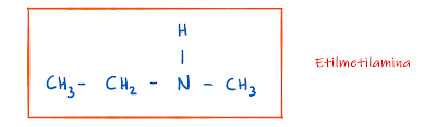 Aminas. Ejercicios resueltos | Física Química