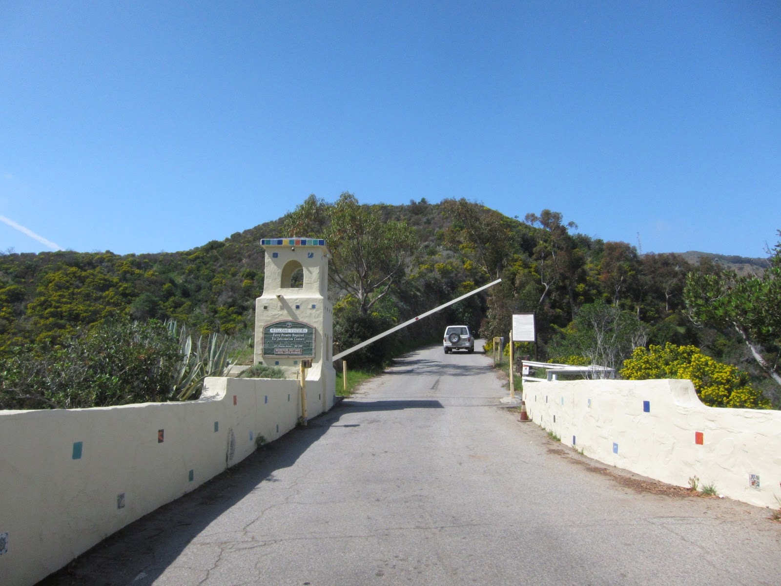 Sensory Overload: Catalina Island - Zippy Ziplines & Wallowing Buffalo
