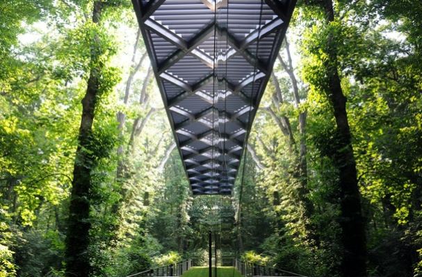bensozia: Francis A. Gregory Library by David Adjaye