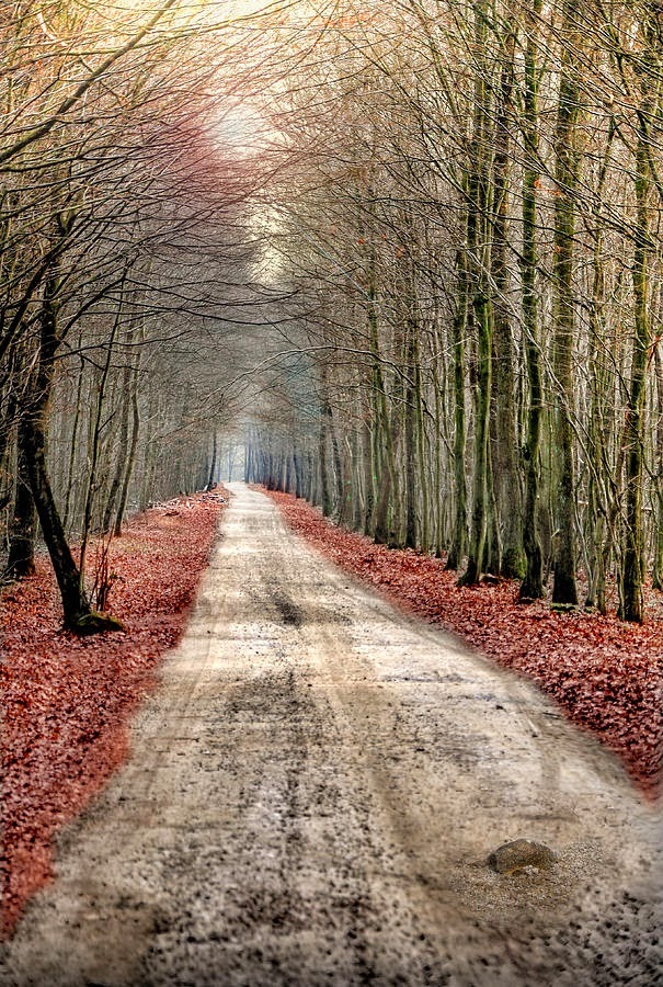 Fav Quote Friday The Many Paths To Enlightenment The Varied Life Roads We Travel Blog Beau Monde