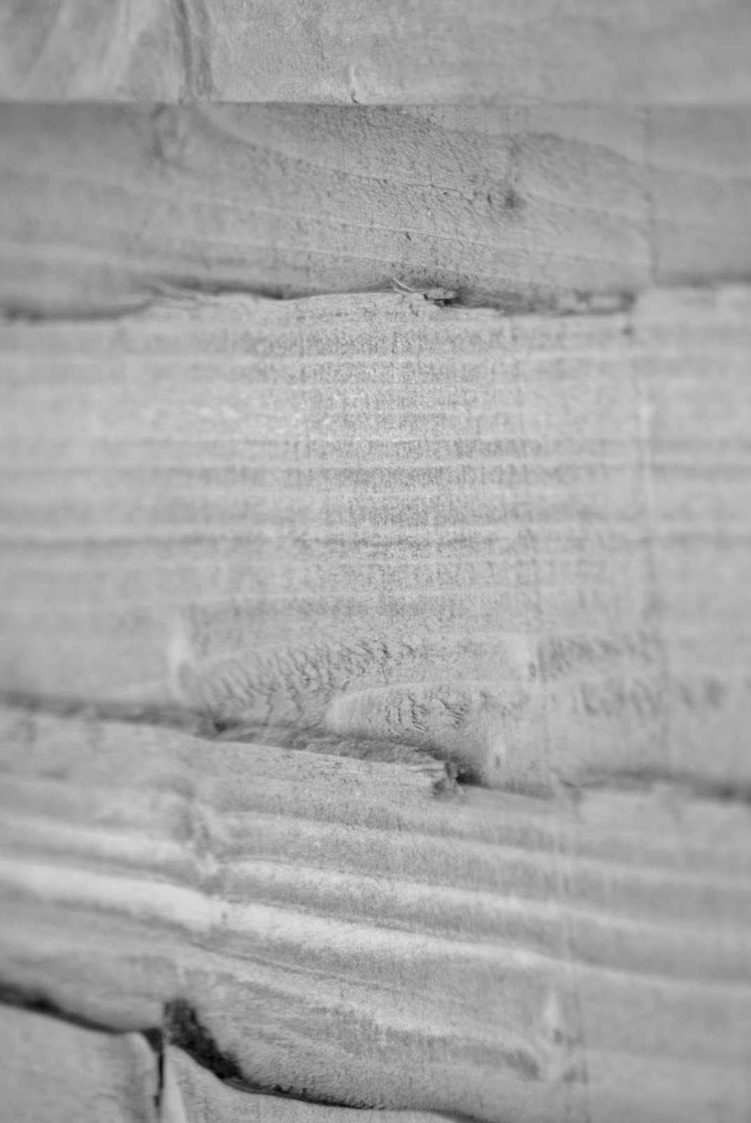Art Of Photography- Learning Log: Lines- Horizontal and Vertical