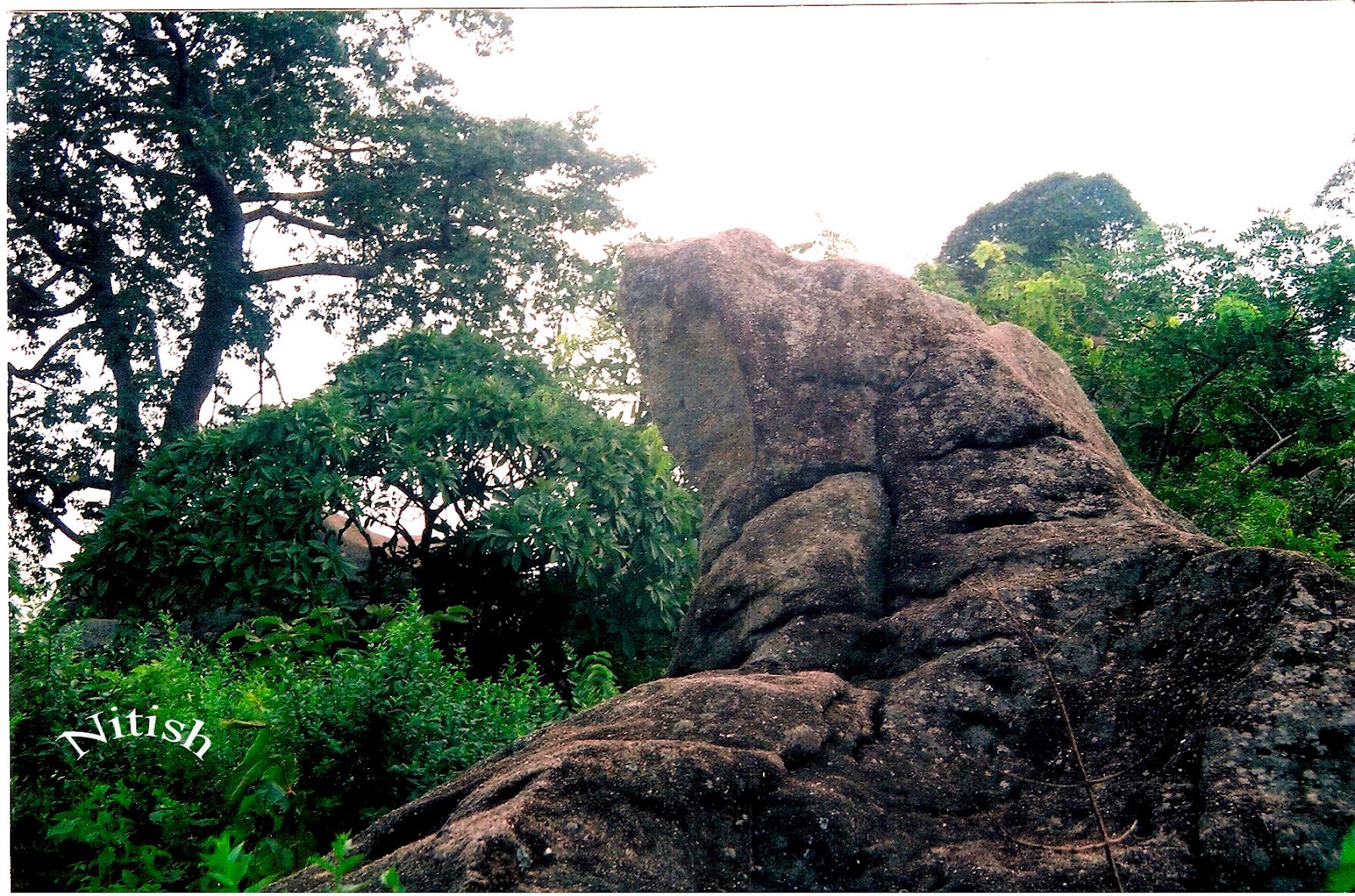 Environment and Geology: Beautiful Weathering structure on the rocks ...