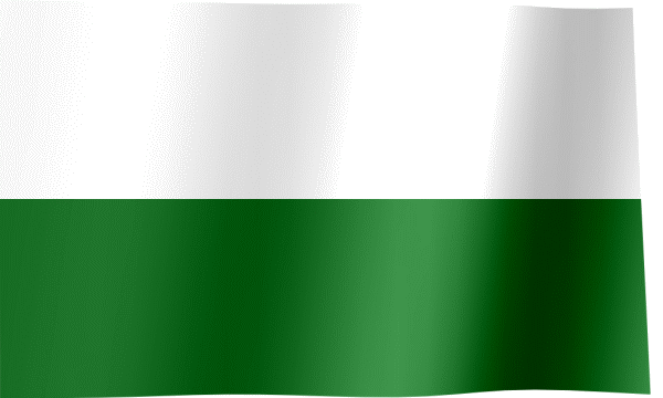 Flag of Saxony (GIF) - All Waving Flags