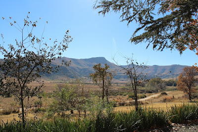 The Agri Handbook Blog: Rustler's Valley: view from a neighbour