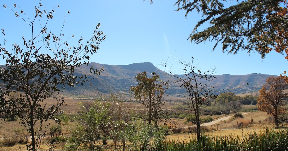 The Agri Handbook Blog: Rustler's Valley: view from a neighbour