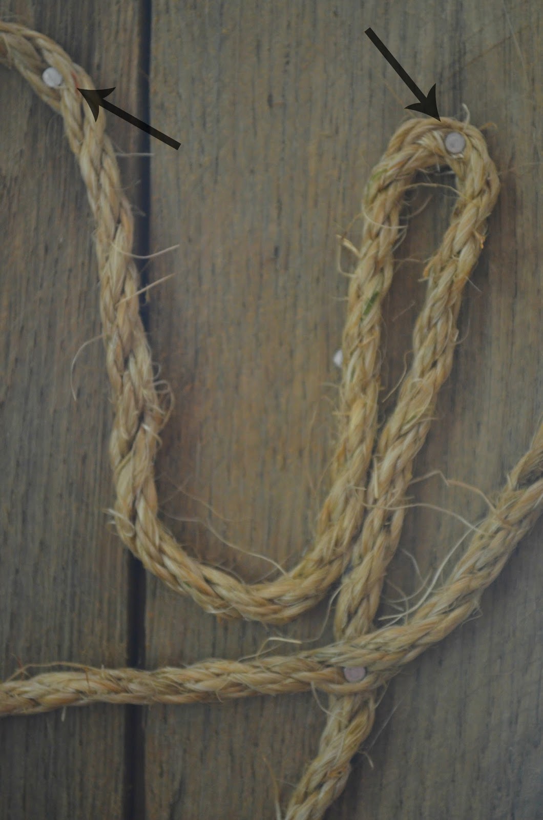 The Lazy Daisy Kitchen: the lazy daisy creates - rope word signs