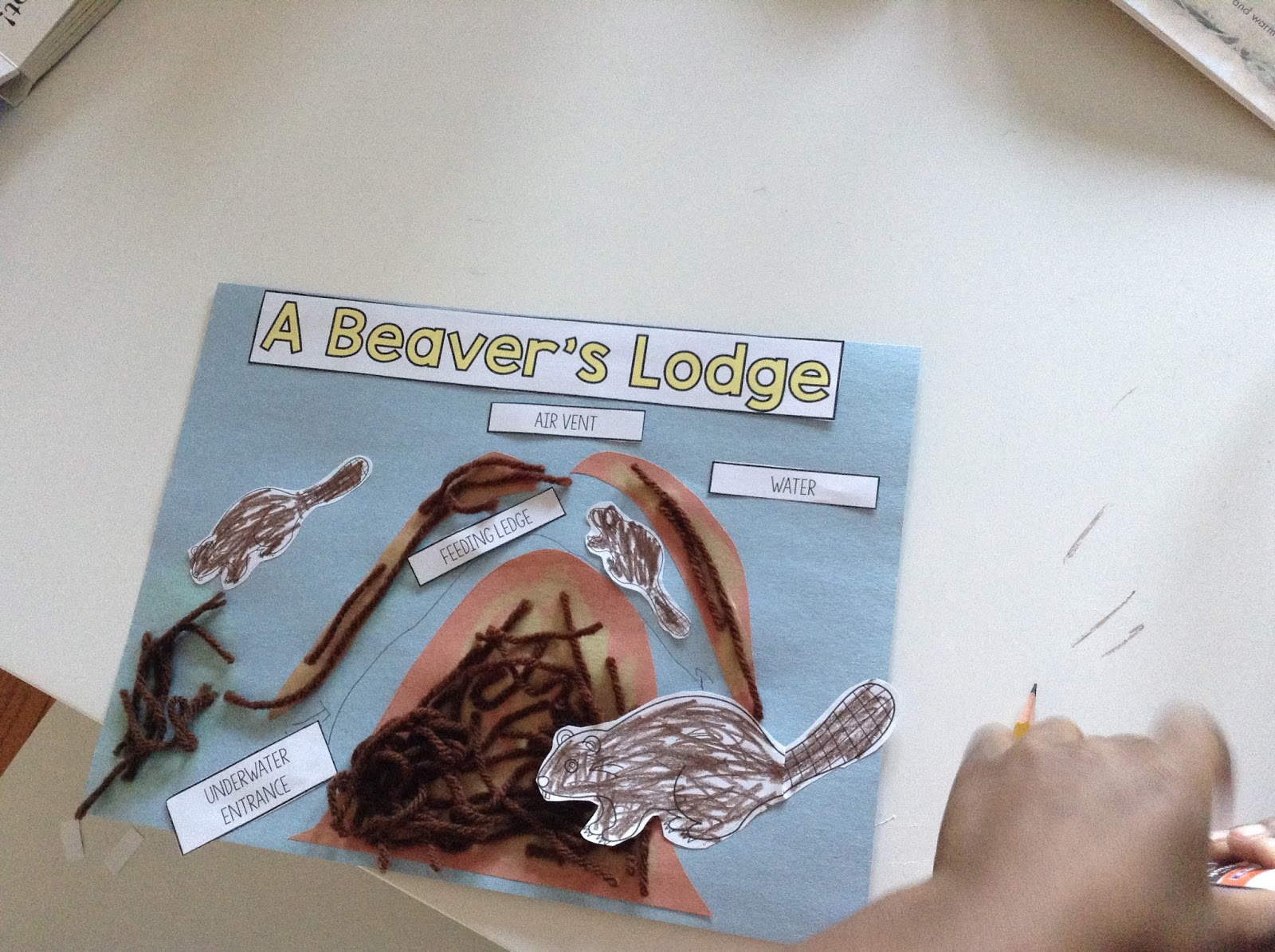TeacherMomPlus3: Beaver's Lodge Craft
