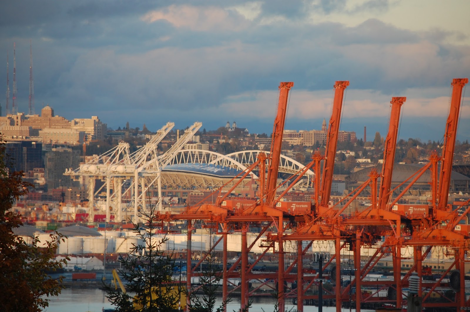 Around Seattle - Almost Weekly Pics: November 2015