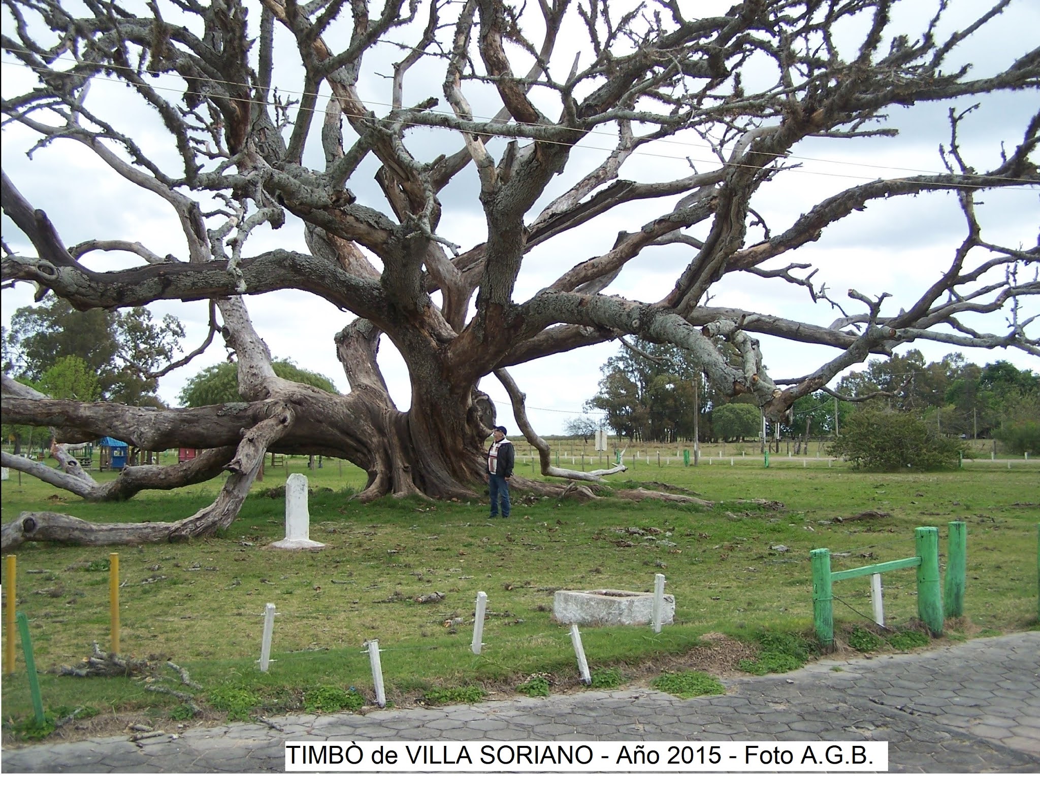 Blog de EL ESCRIBIDOR: CAMBÀ NAMBÌ – LA LEYENDA DEL TIMBÒ