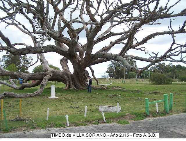 Blog de EL ESCRIBIDOR: CAMBÀ NAMBÌ – LA LEYENDA DEL TIMBÒ