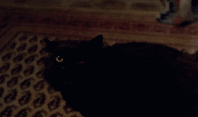 my new plaid pants: Thursday's Ways Not To Die