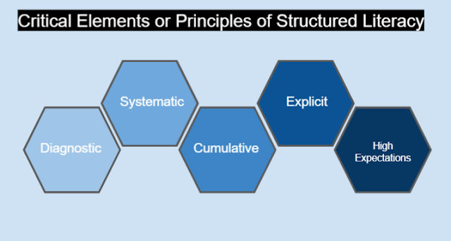Our Structured Literacy Journey (so far!) at RRS