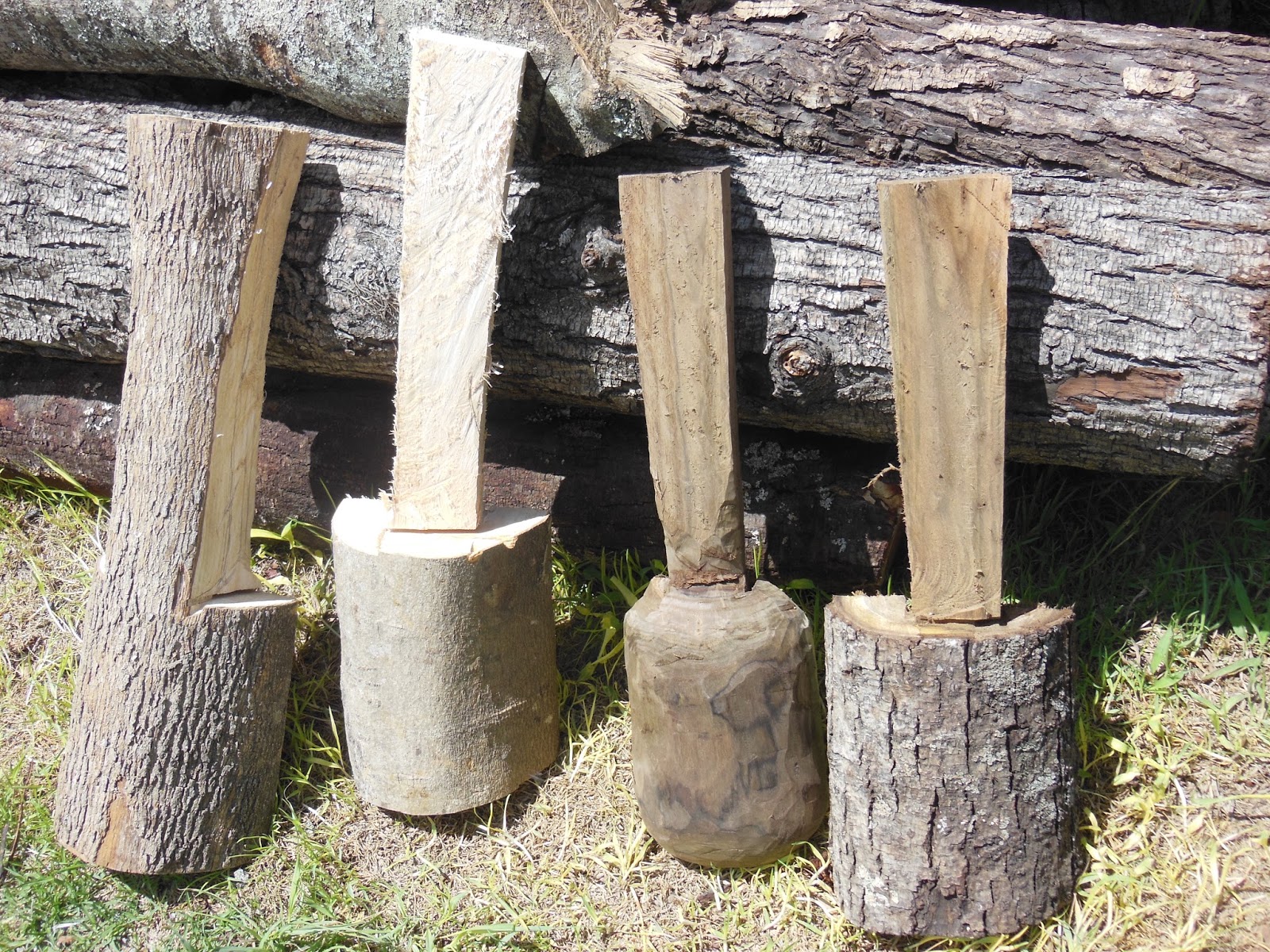 lutheria: algunas fotos