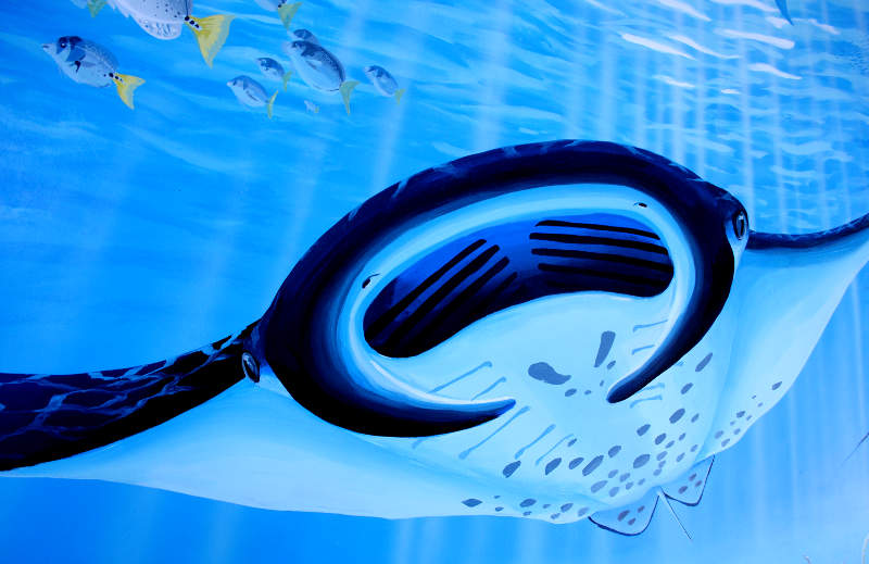 The Tucson Murals Project: Desert Museum stingray mural