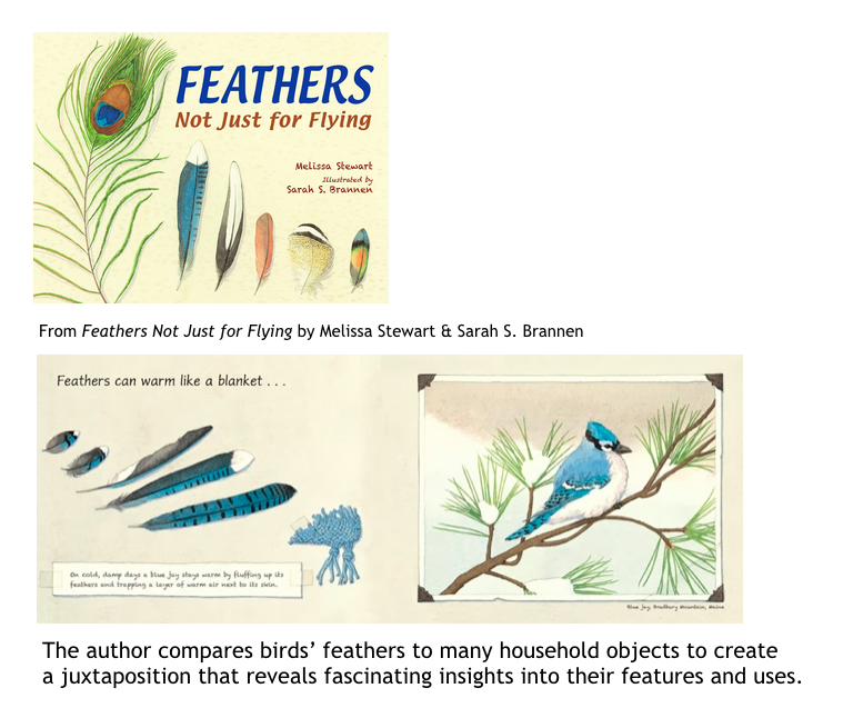 PICTURE BOOK FOCUS Creating Compelling Back Matter - Words&Pictures