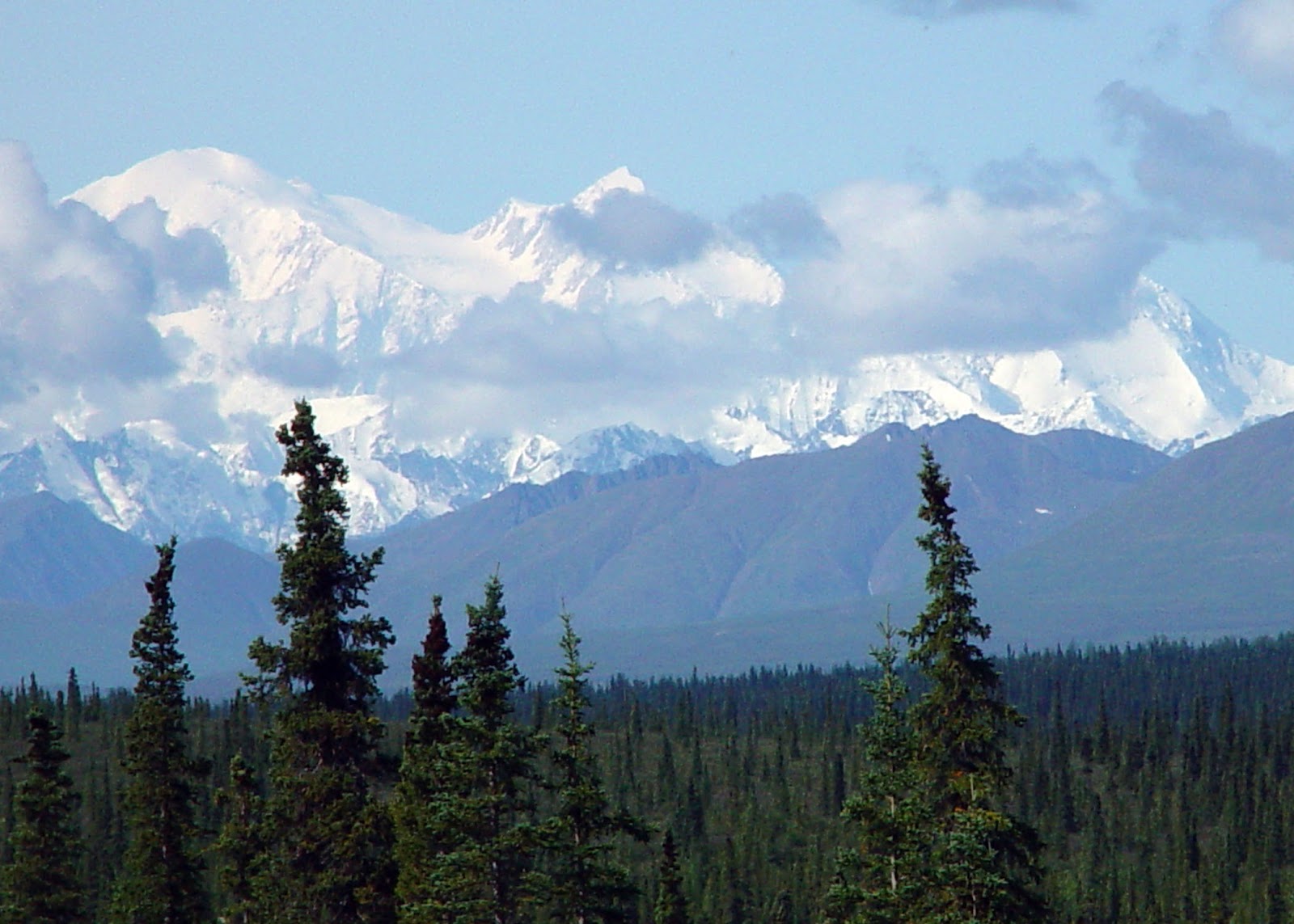 Eden By The Bay: Denali National Park
