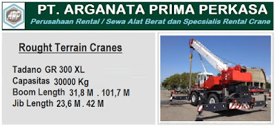 Rental Crane: Rafter Crane