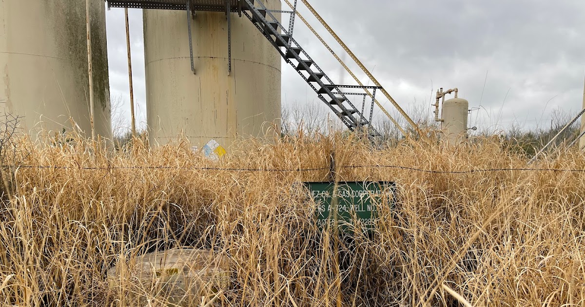 Kay Rieck Helena Energy