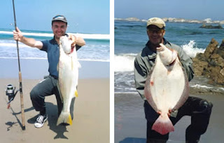 Pesca en Ica | Ica, Ciudad del Eterno Sol