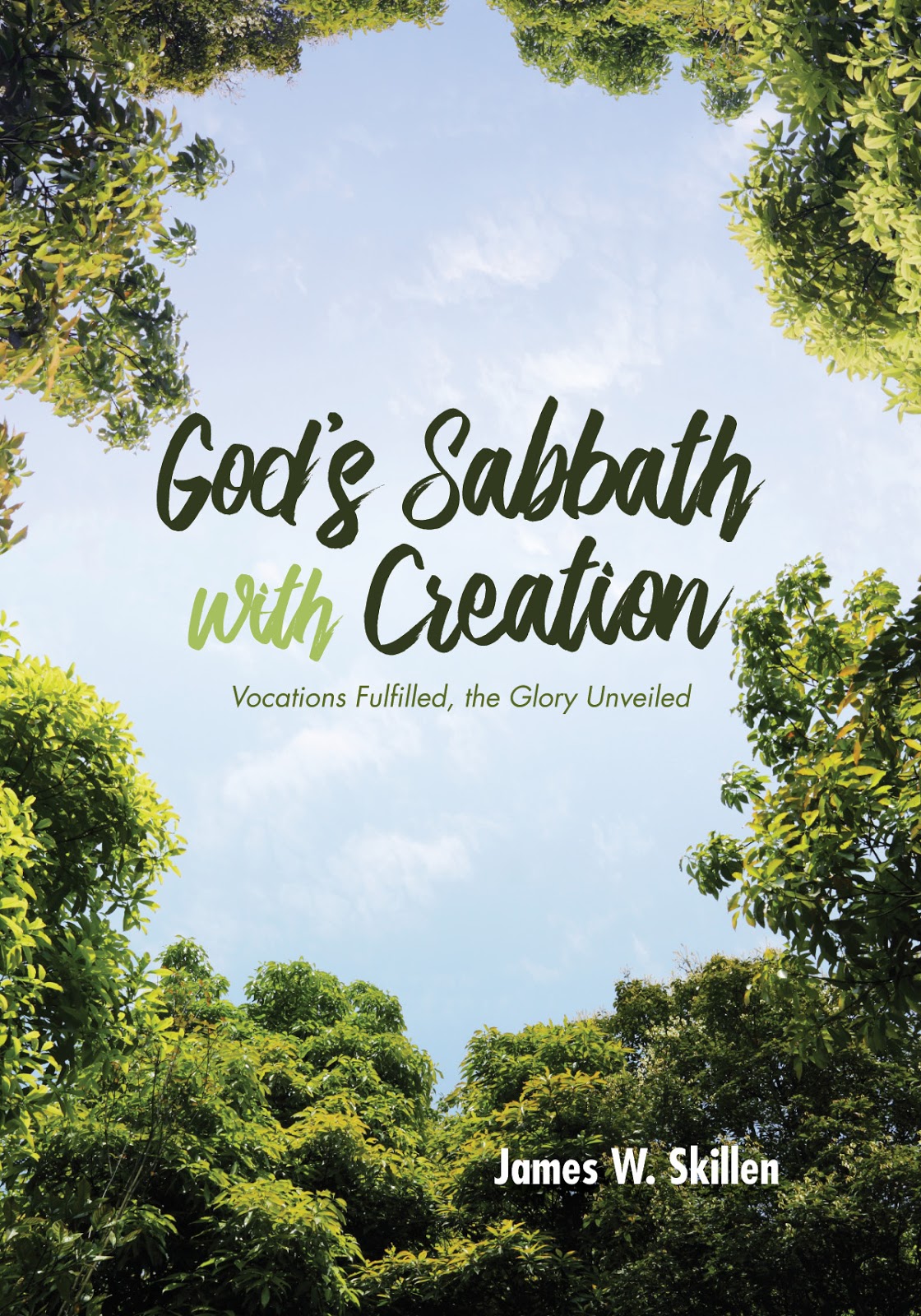 An accidental blog: God's Sabbath with Creation by James Skillen - a review