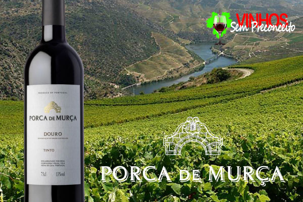 Vinhos Porca de Murça, vinhos inspirados em uma lenda ~ Vinhos Sem ...