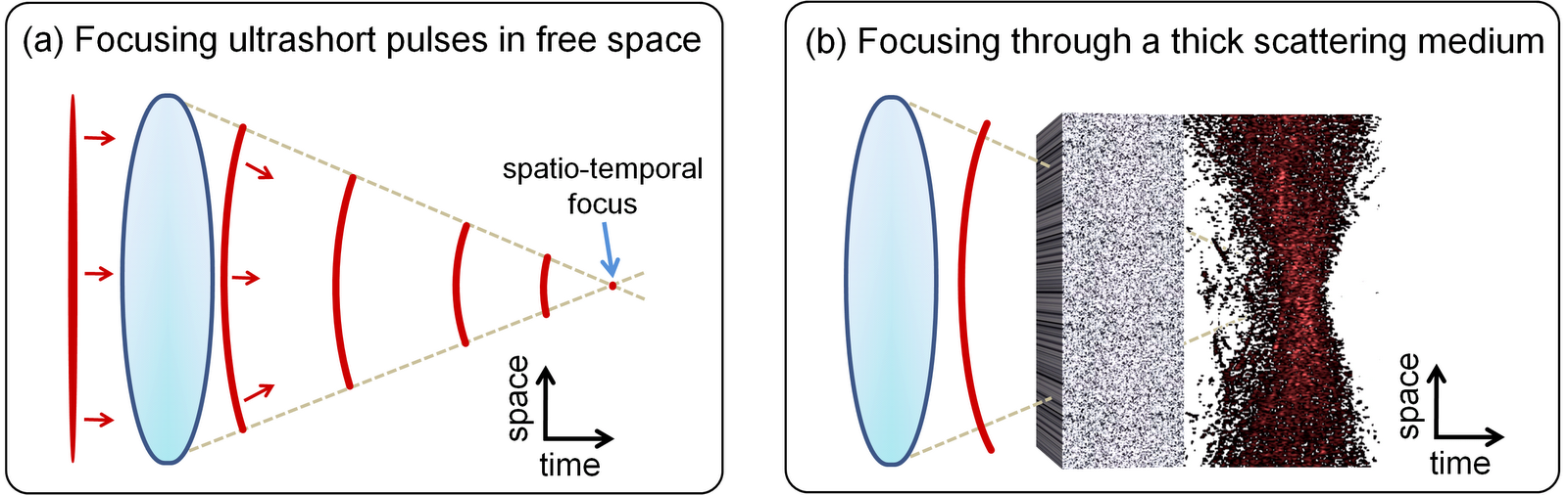 2Physics: Focusing Ultrashort Optical Pulses through Scattering Media