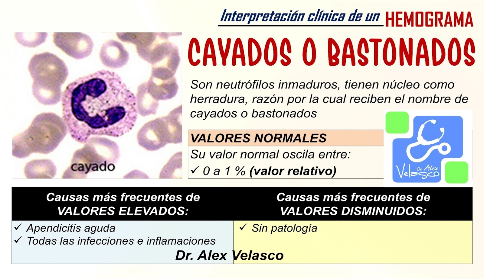INTERPRETACIÓN CLÍNICA DE UN HEMOGRAMA ~ Dr. Alex Velasco
