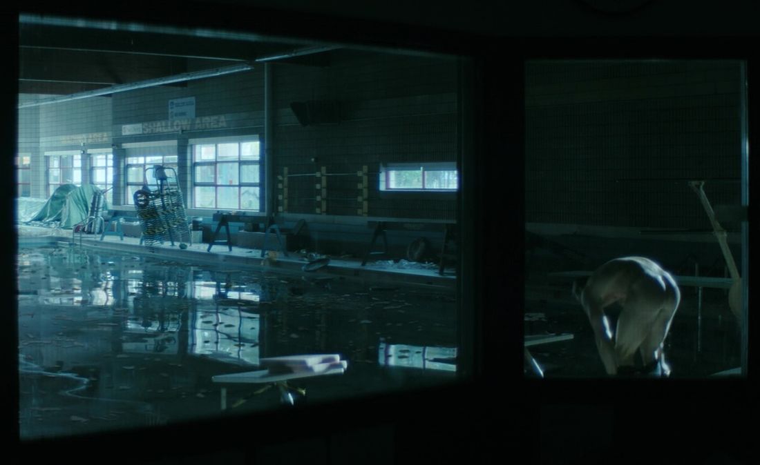 Favorite Hunks & Other Things: Alan Ritchson in Titans