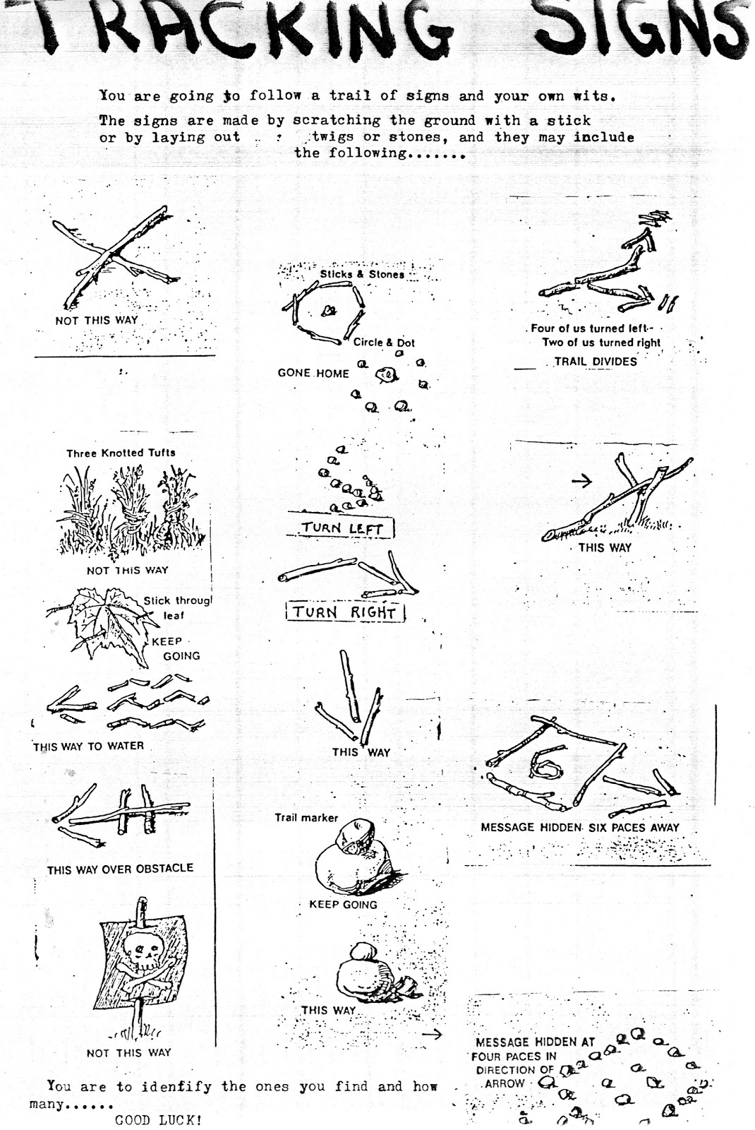 Sarah s Scout Stuff Tracking Signs Sarah s Scout Stuff Tracking Signs