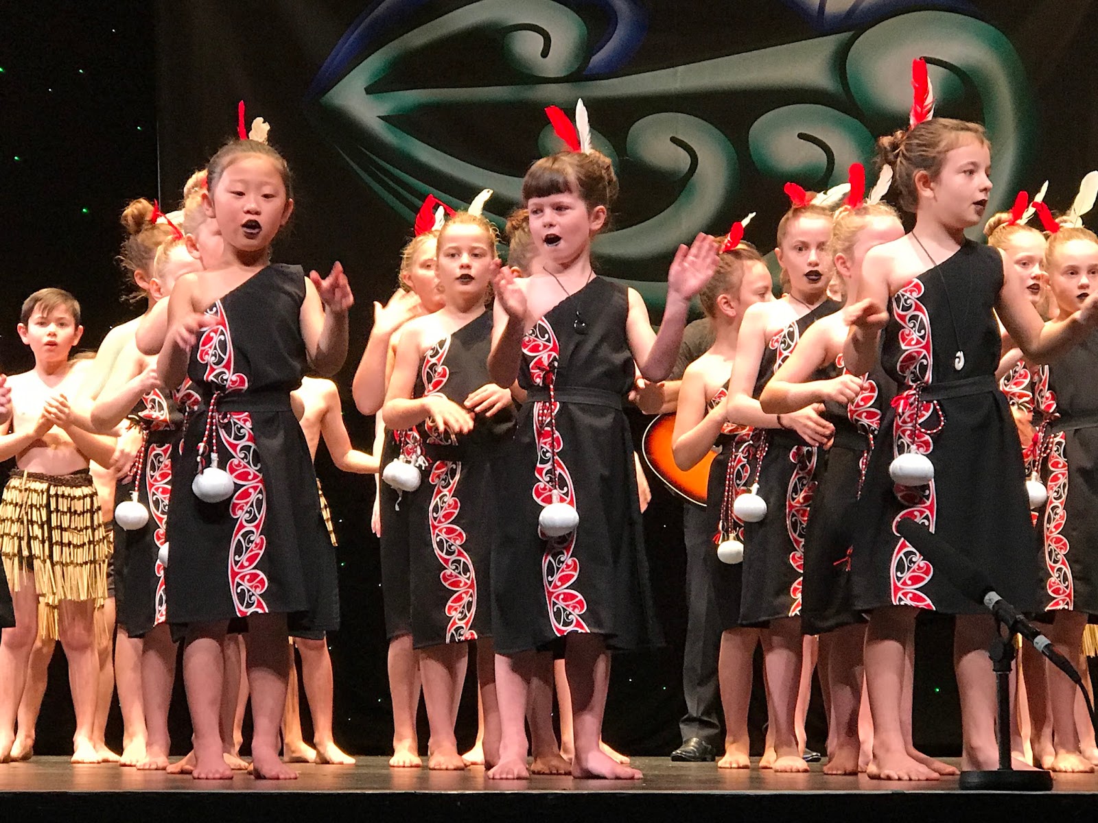 CSNS Kapa Haka : Te Pae Tamariki 2017 photos