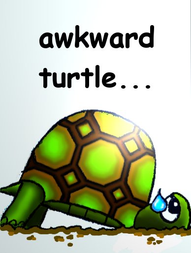 July 2013 | Awkward Turtle