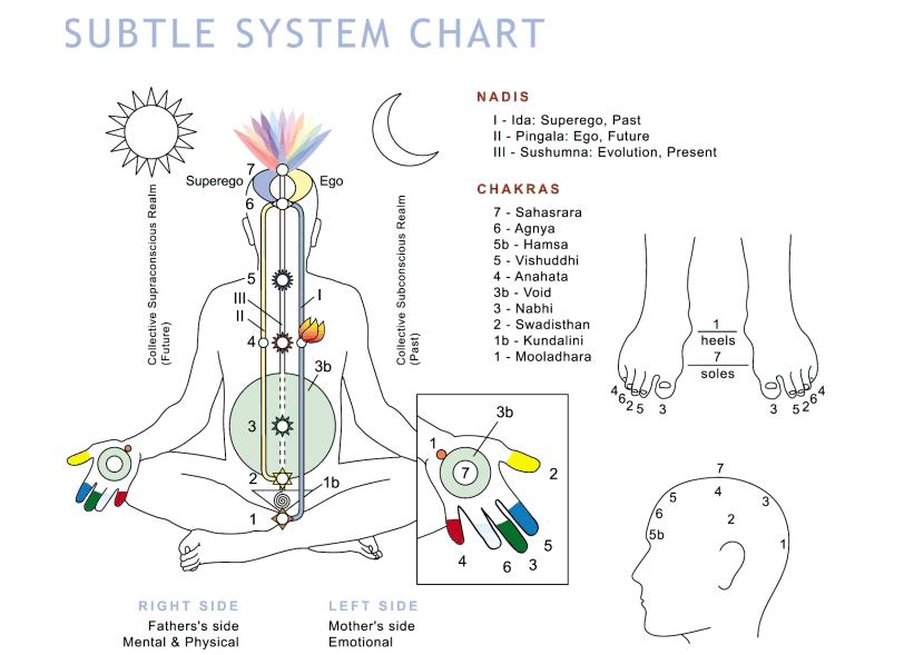YOGA LIFE: Chakras Kundalini & DNA