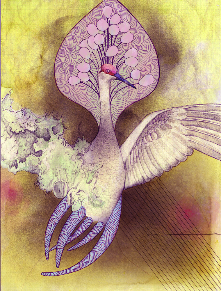 Seo Kim Illustration